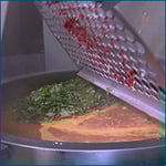 Learn the 7 Step Process for Cook Chill