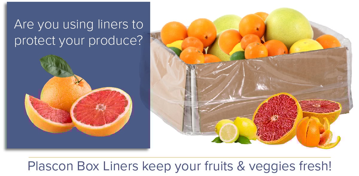 Citrus Harvesting During National Grapefruit Month